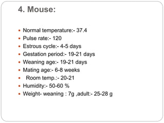 Common laboratory animals | PPTX