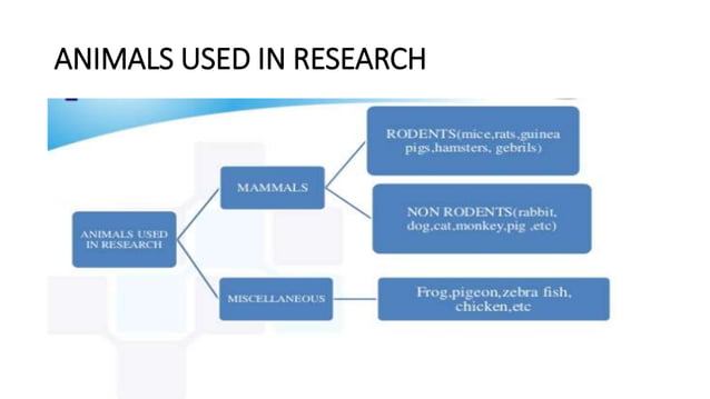 Common laboratory animals | PPT