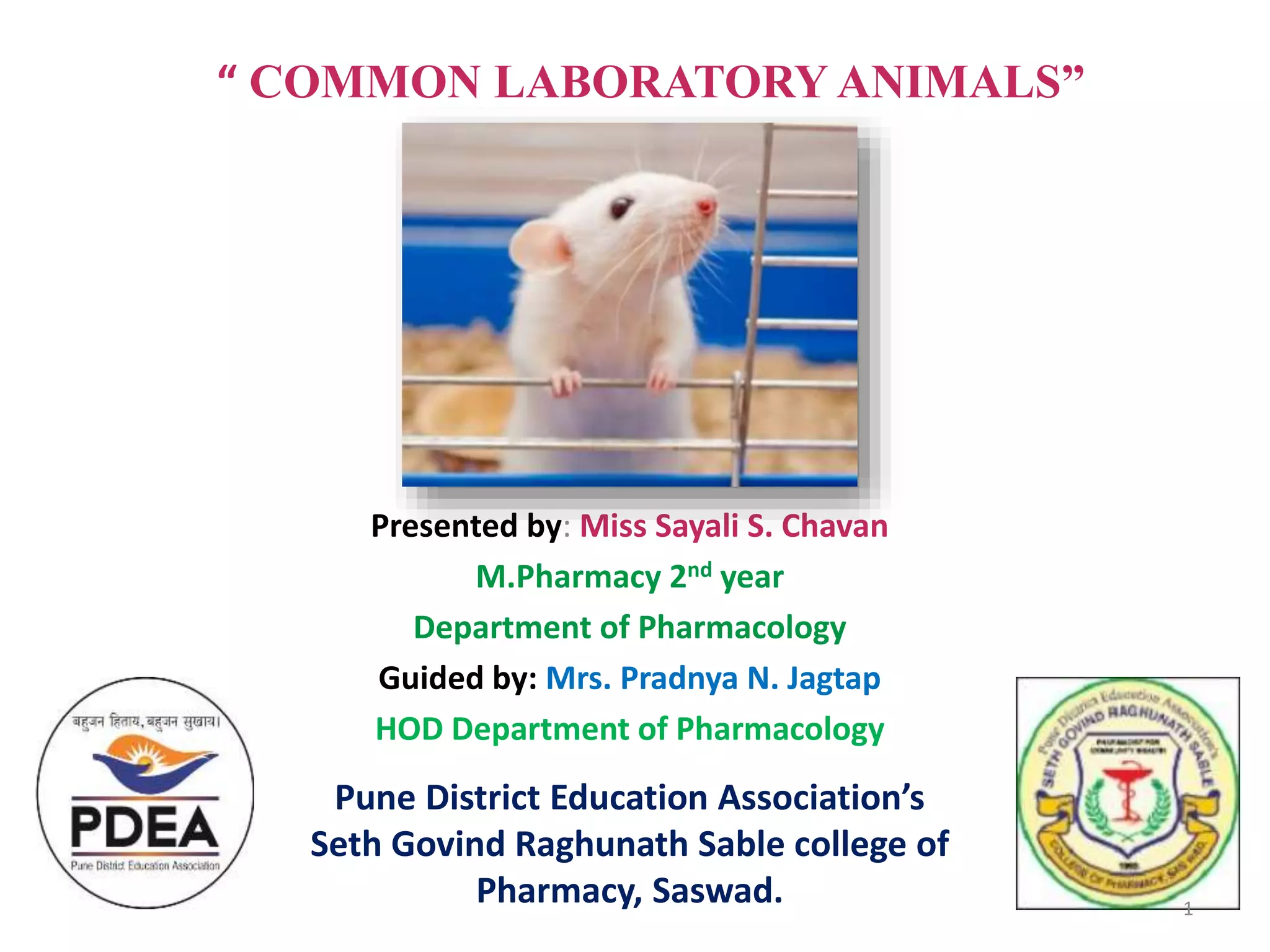 Common laboratory animals | PPTX