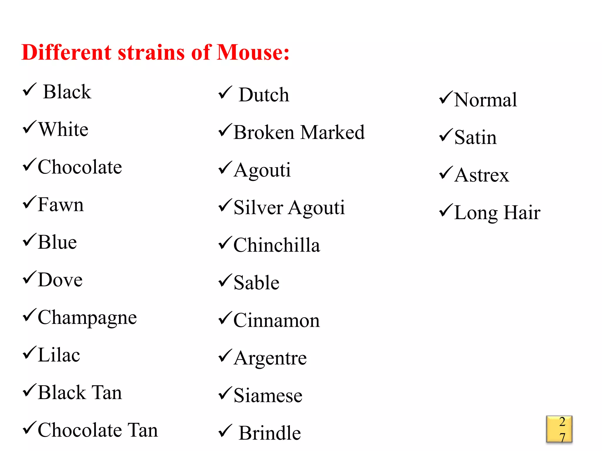 Common laboratory animals | PPTX