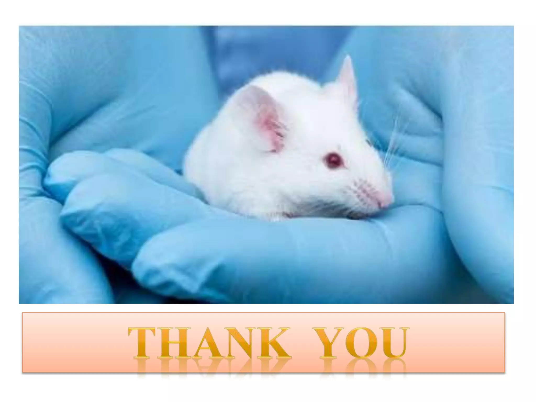 Common laboratory animals | PPTX