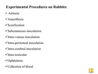 Common laboratory animals | PPTX