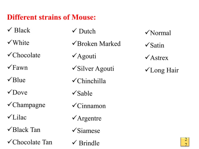 Common laboratory animals | PPTX | Biological Sciences | Science