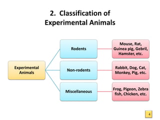 Common laboratory animals | PPTX