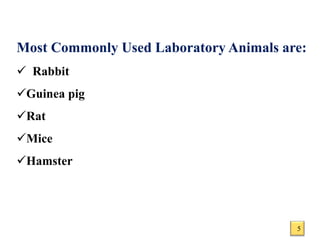 Common laboratory animals | PPTX