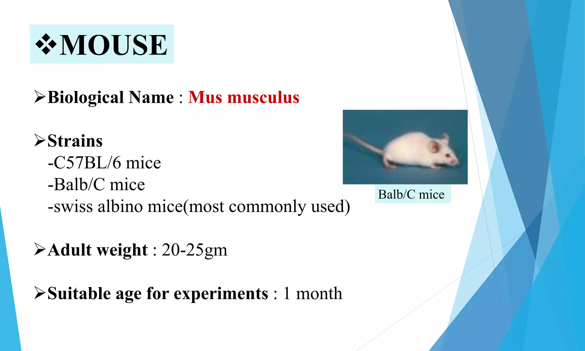 Common laboratory animals | PDF