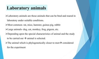 Common laboratory animals | PDF | Biological Sciences | Science