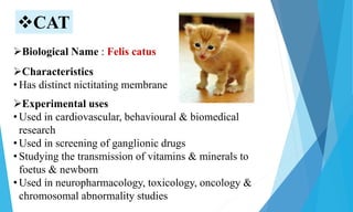 Common laboratory animals | PDF