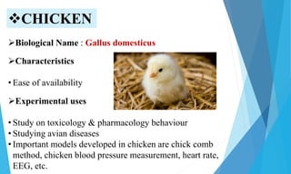 Common laboratory animals | PDF