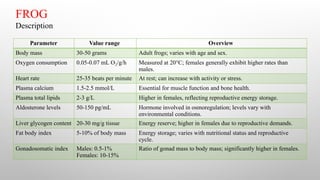 Common Laboratory Animals i.e.Frog .pptx