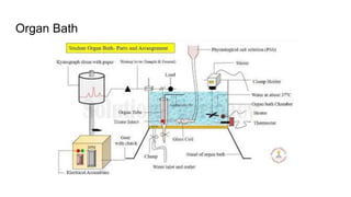 Common Laboratory 1 Equipments used in Experimental Pharmacology | PPTX