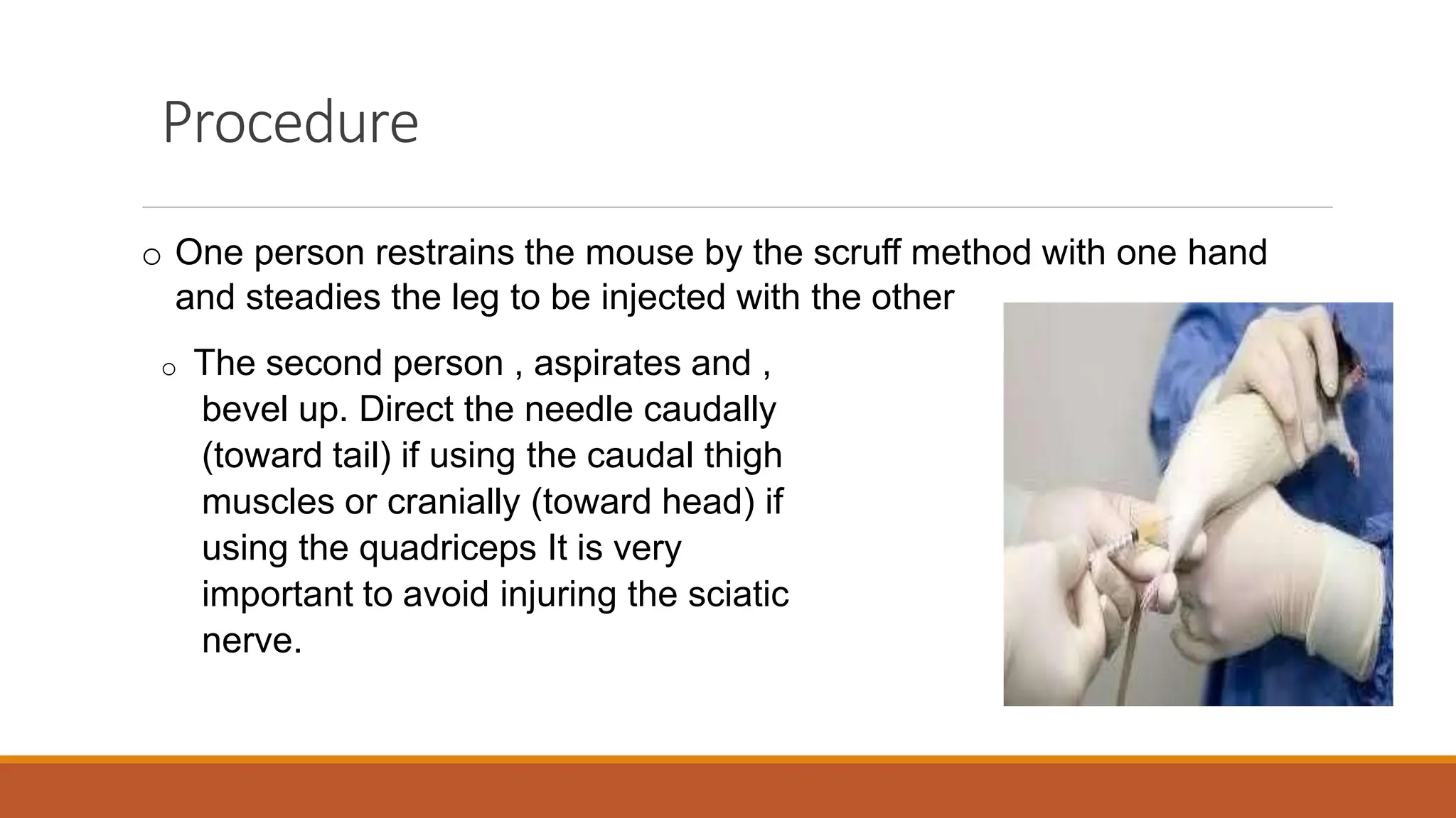 Common Laboratory Techniques in Experimental Pharmacology.pdf