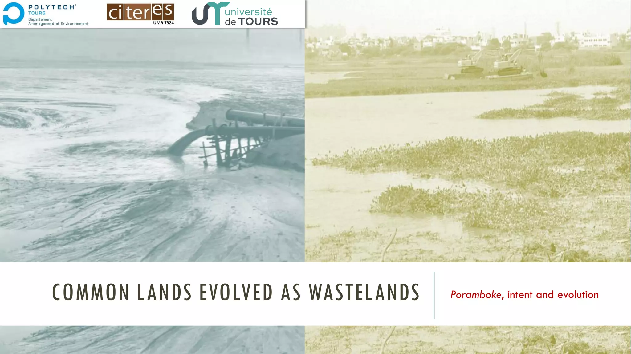 Common lands evolved as wastelands | PDF