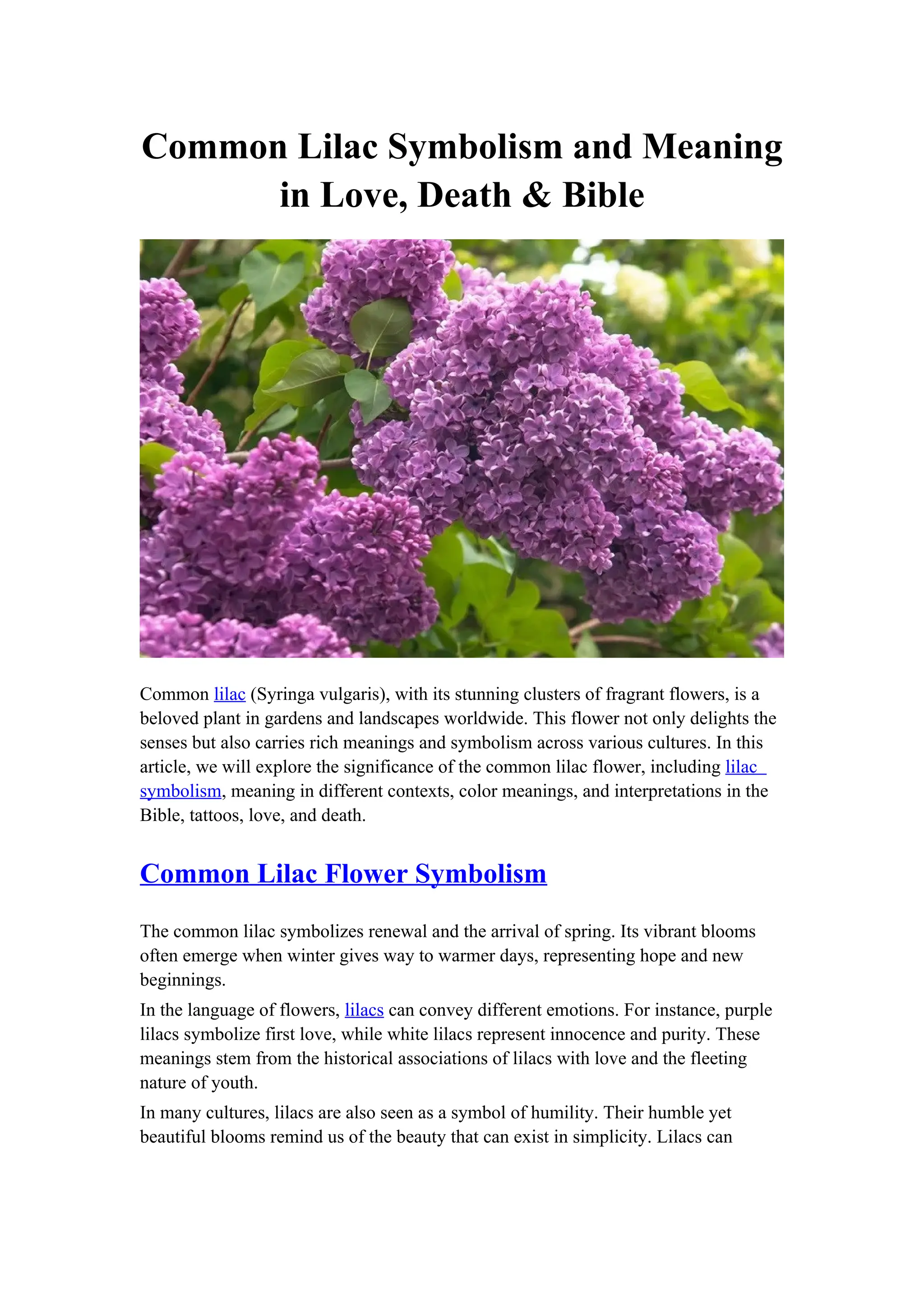 Common Lilac Symbolism and Meaning in Love, Death & Bible.docx