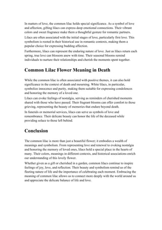 Common Lilac Symbolism and Meaning in Love, Death & Bible.docx