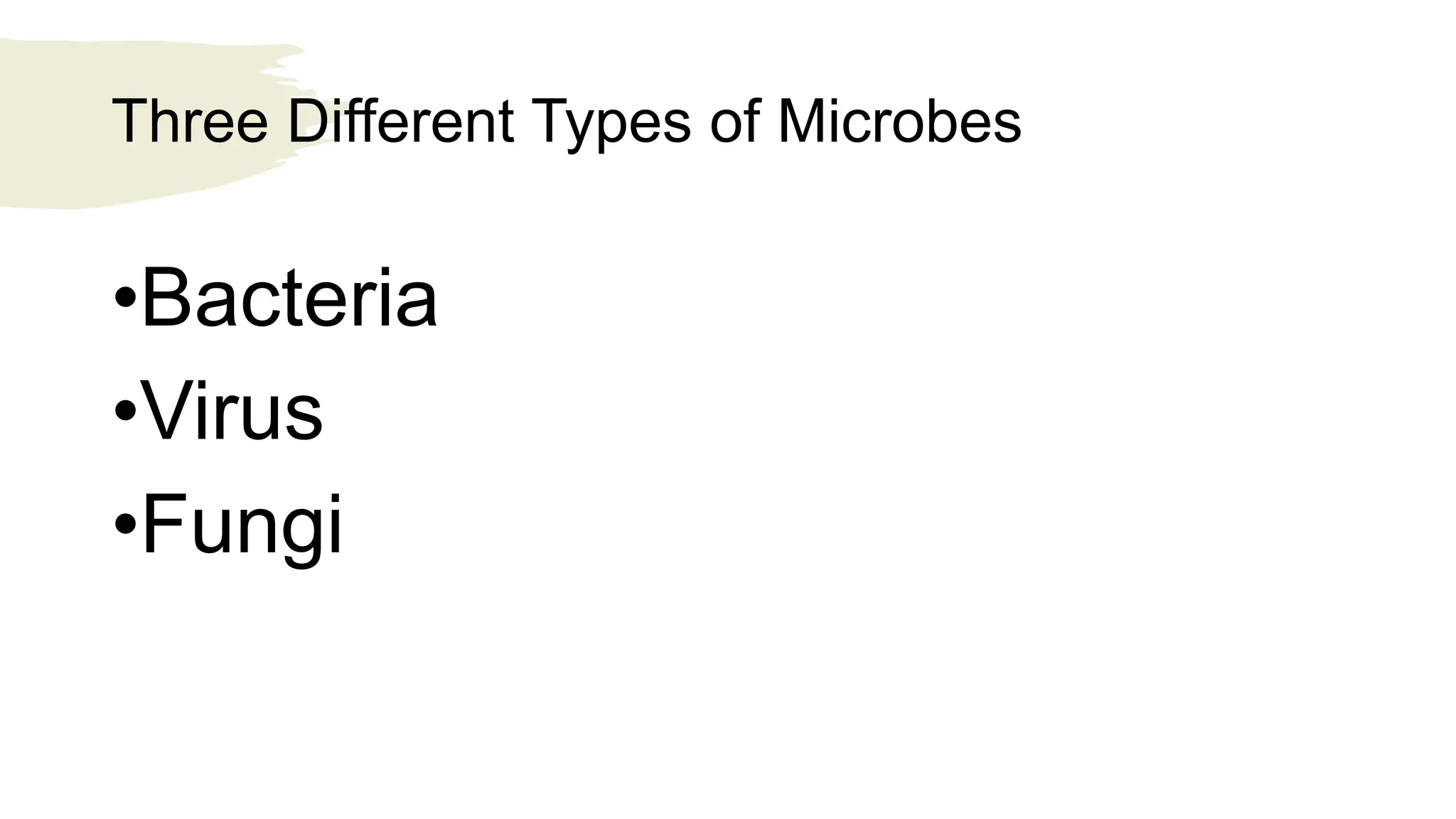 Commonly-Used-Microbes-in-Biotechnology.pptx