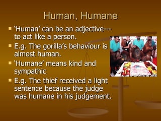 Commonly Confused Words | PPT