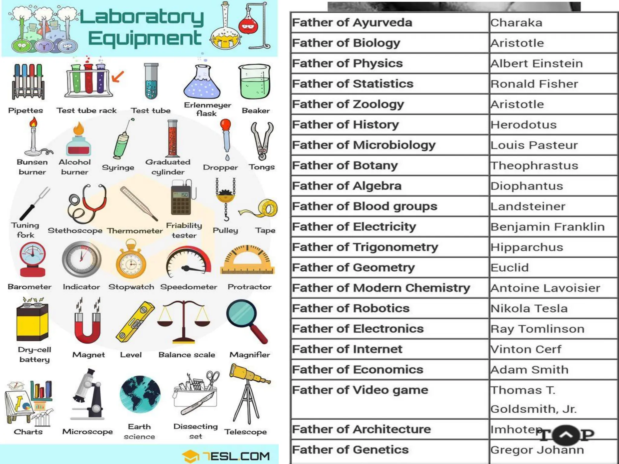 Commonly used Creative Ideas expressions for Understanding Universal ...