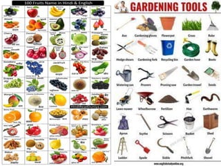 Commonly used Creative Ideas expressions for Understanding Universal ...