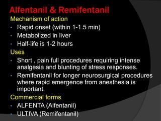 Commonly used drugs in children By Dr Sachin Rathod | PPTX | Ear, Nose ...