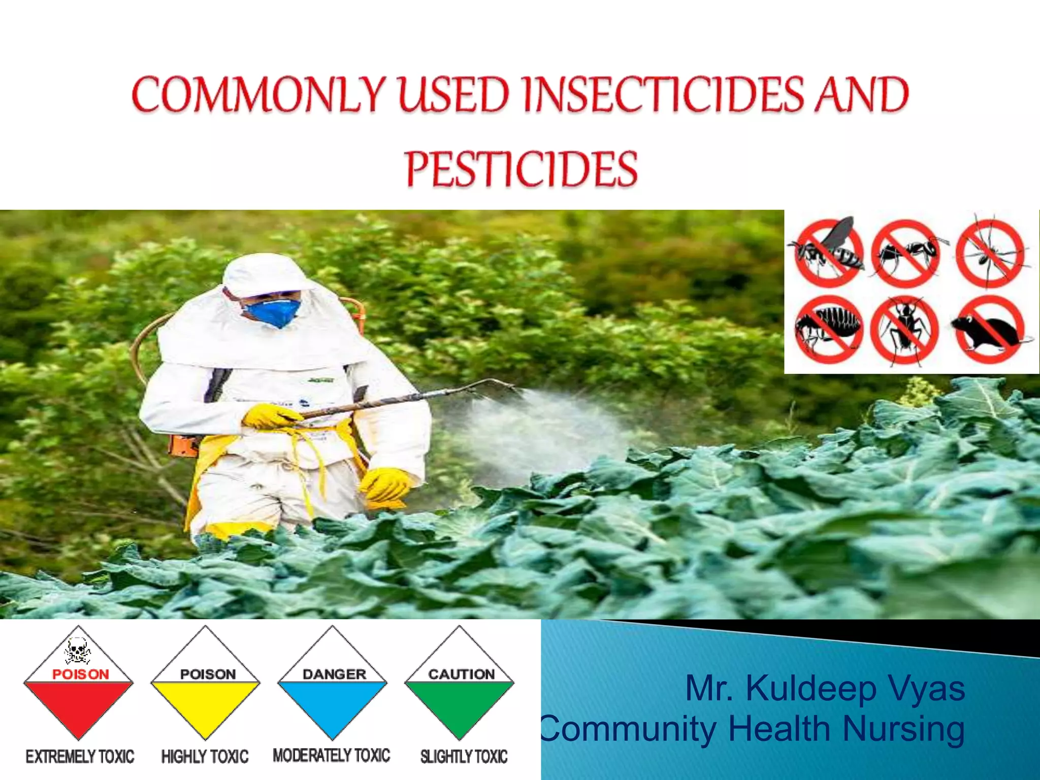 Commonly used Insecticides and Pesticides | PPTX