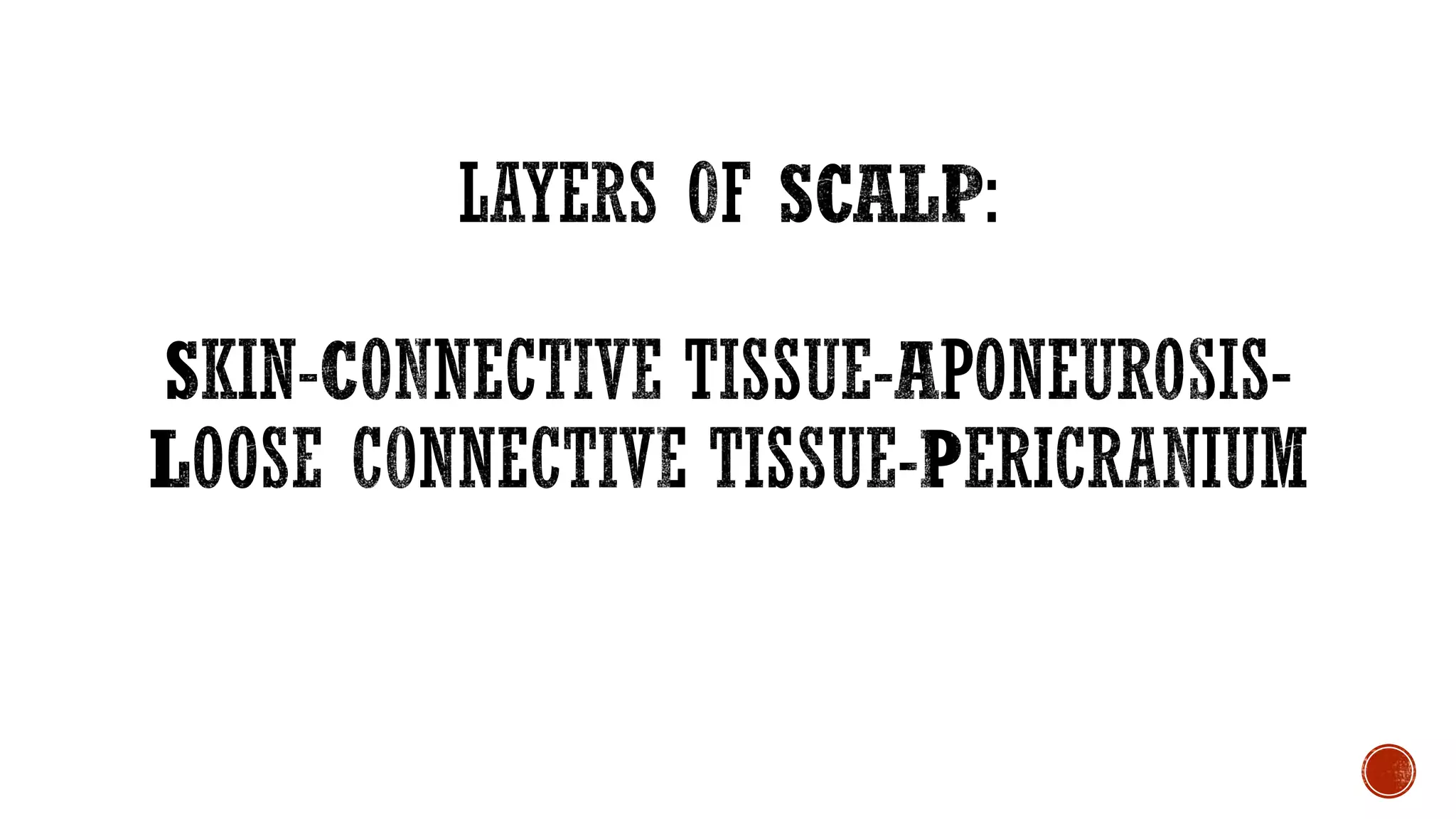 Commonly used medical mnemonics | PPT