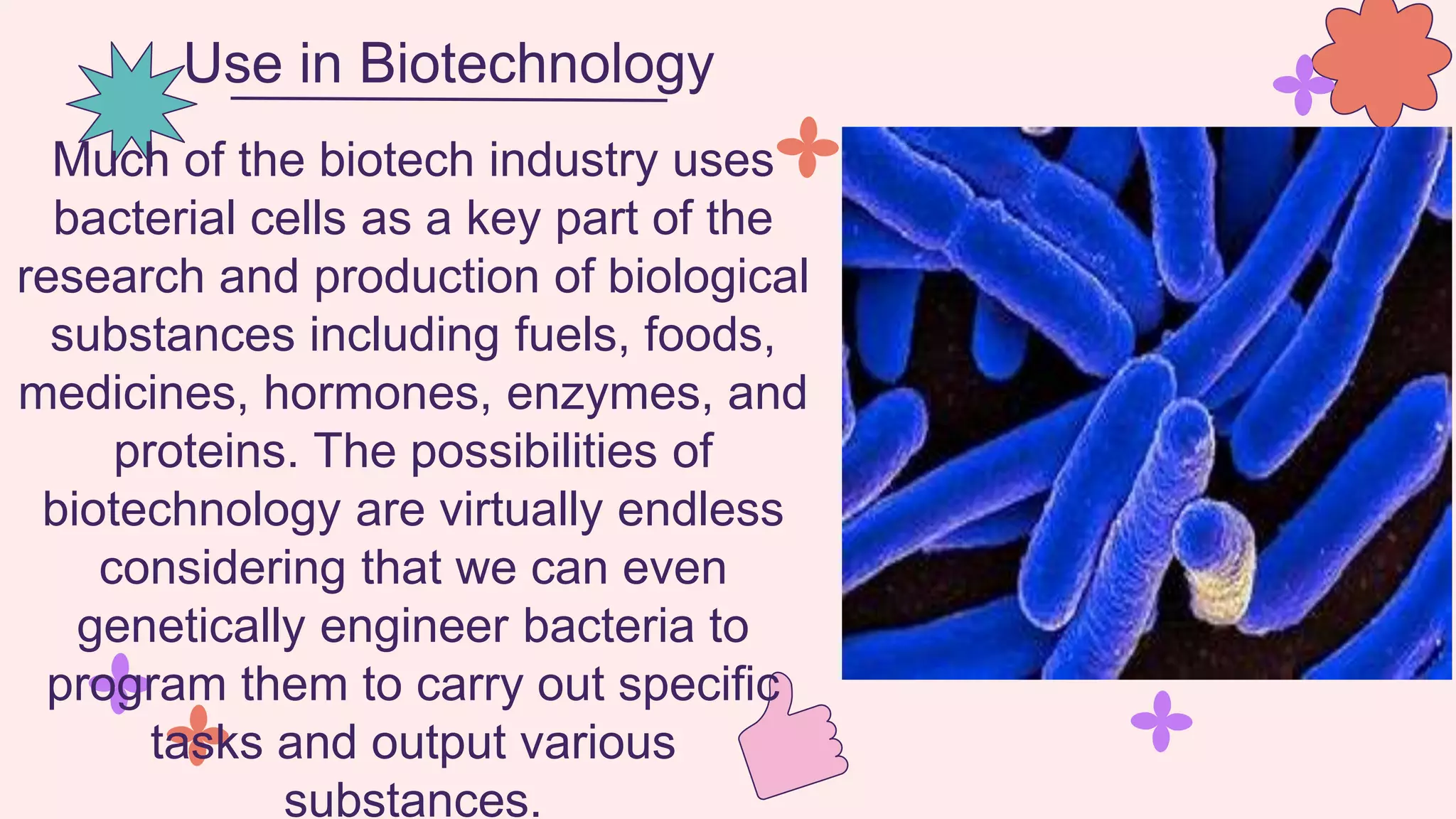 Commonly used Microbes in Biotechnology.pptx