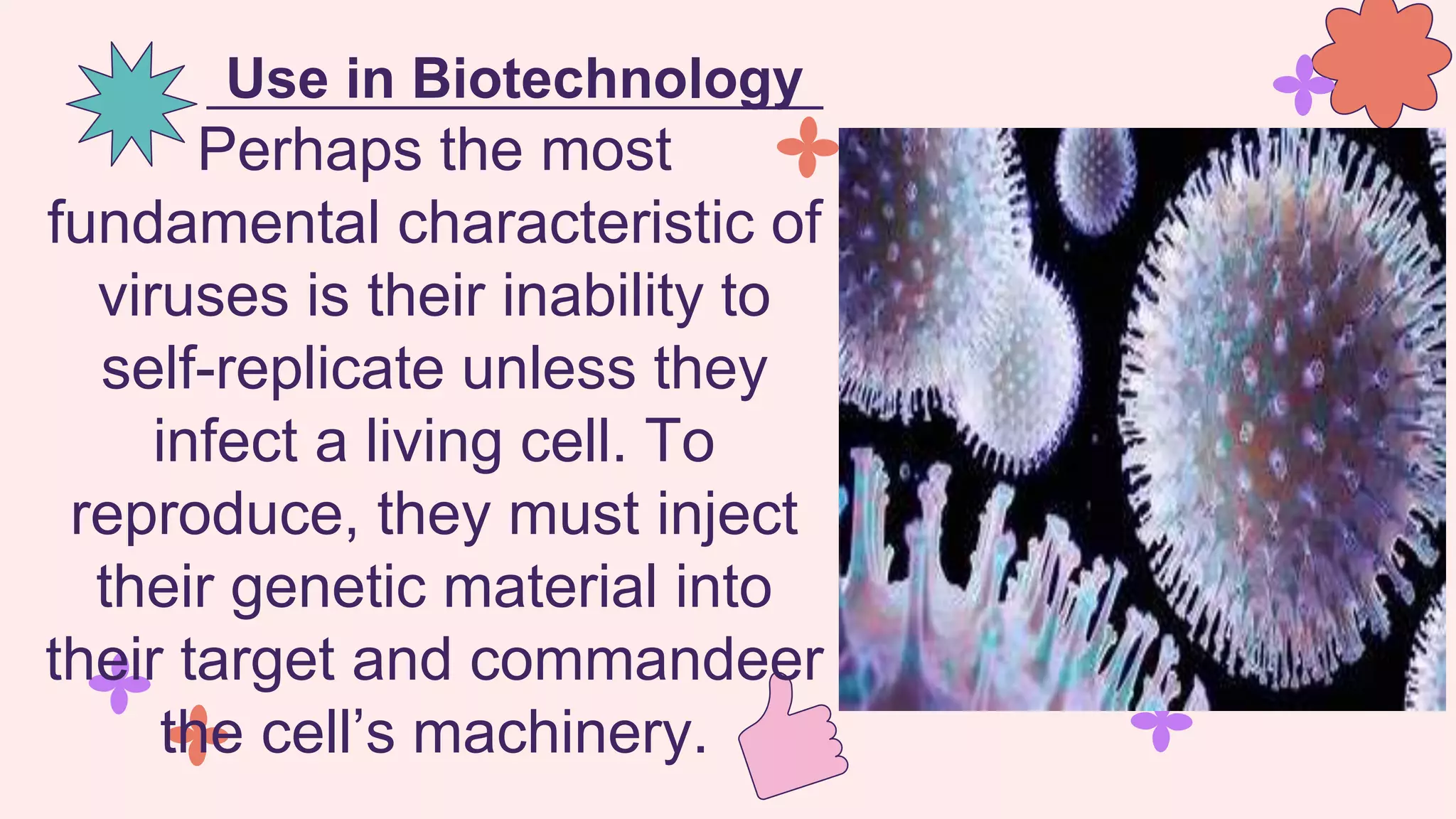 Commonly used Microbes in Biotechnology.pptx