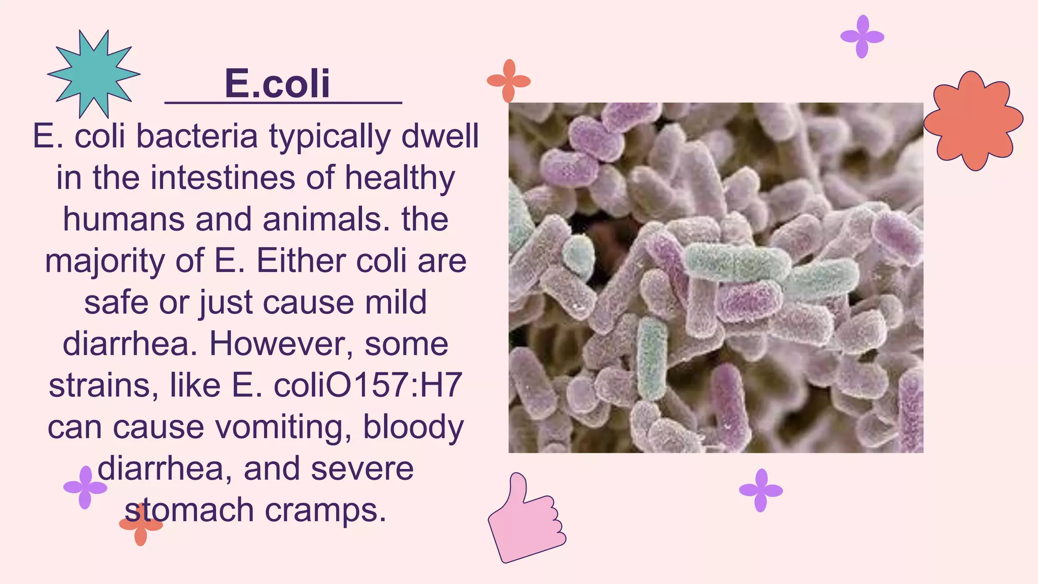 Commonly used Microbes in Biotechnology.pptx