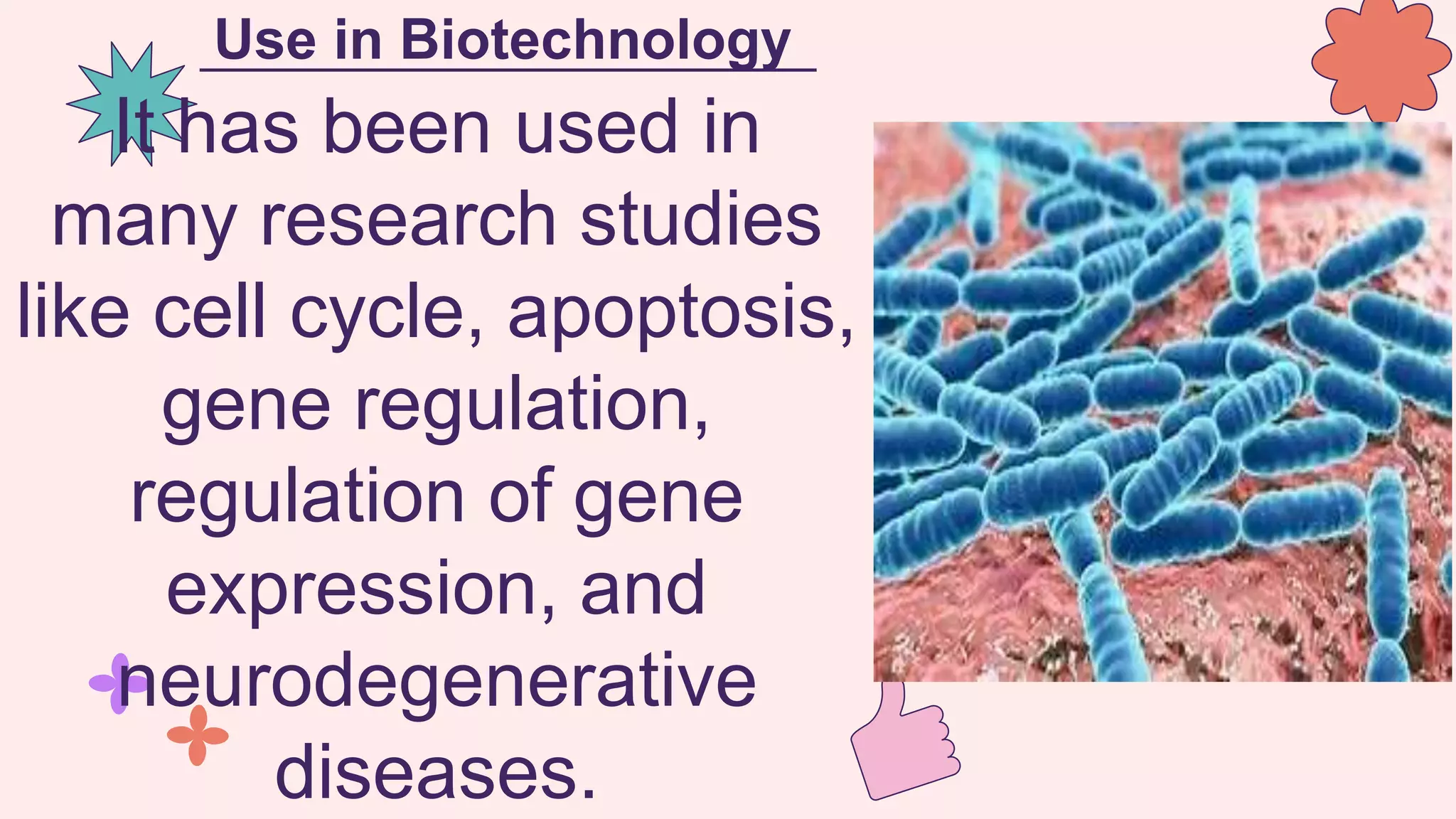 Commonly used Microbes in Biotechnology.pptx