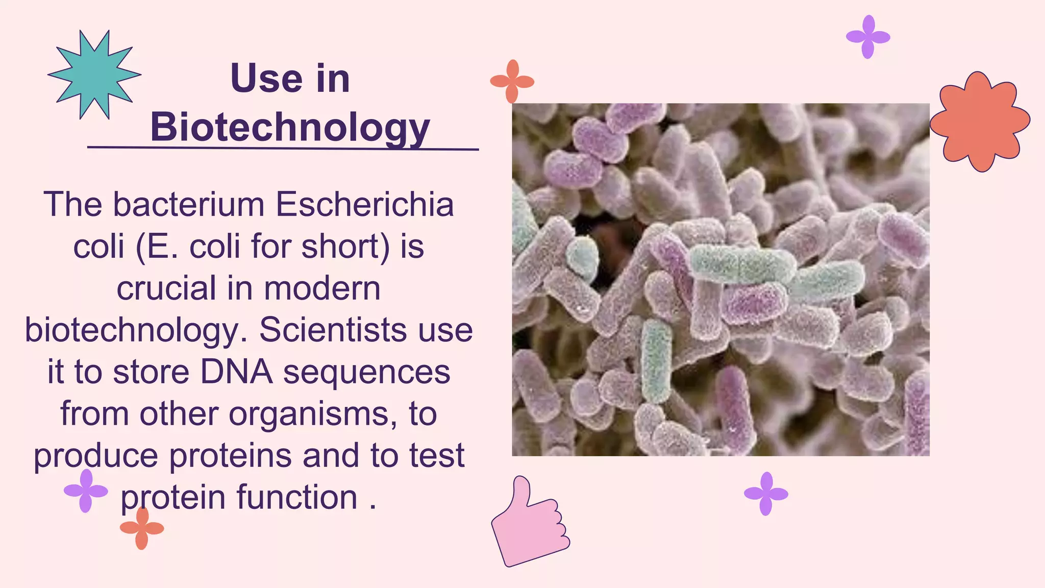 Commonly used Microbes in Biotechnology.pptx