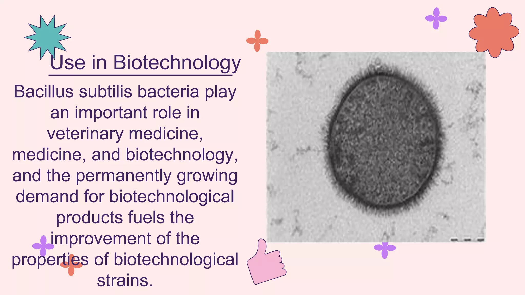 Commonly used Microbes in Biotechnology.pptx
