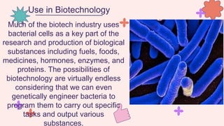 Commonly used Microbes in Biotechnology.pptx