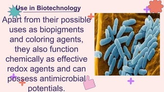 Commonly used Microbes in Biotechnology.pptx