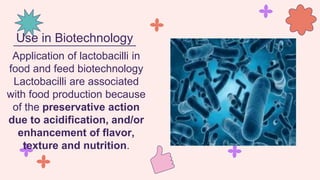 Commonly used Microbes in Biotechnology.pptx