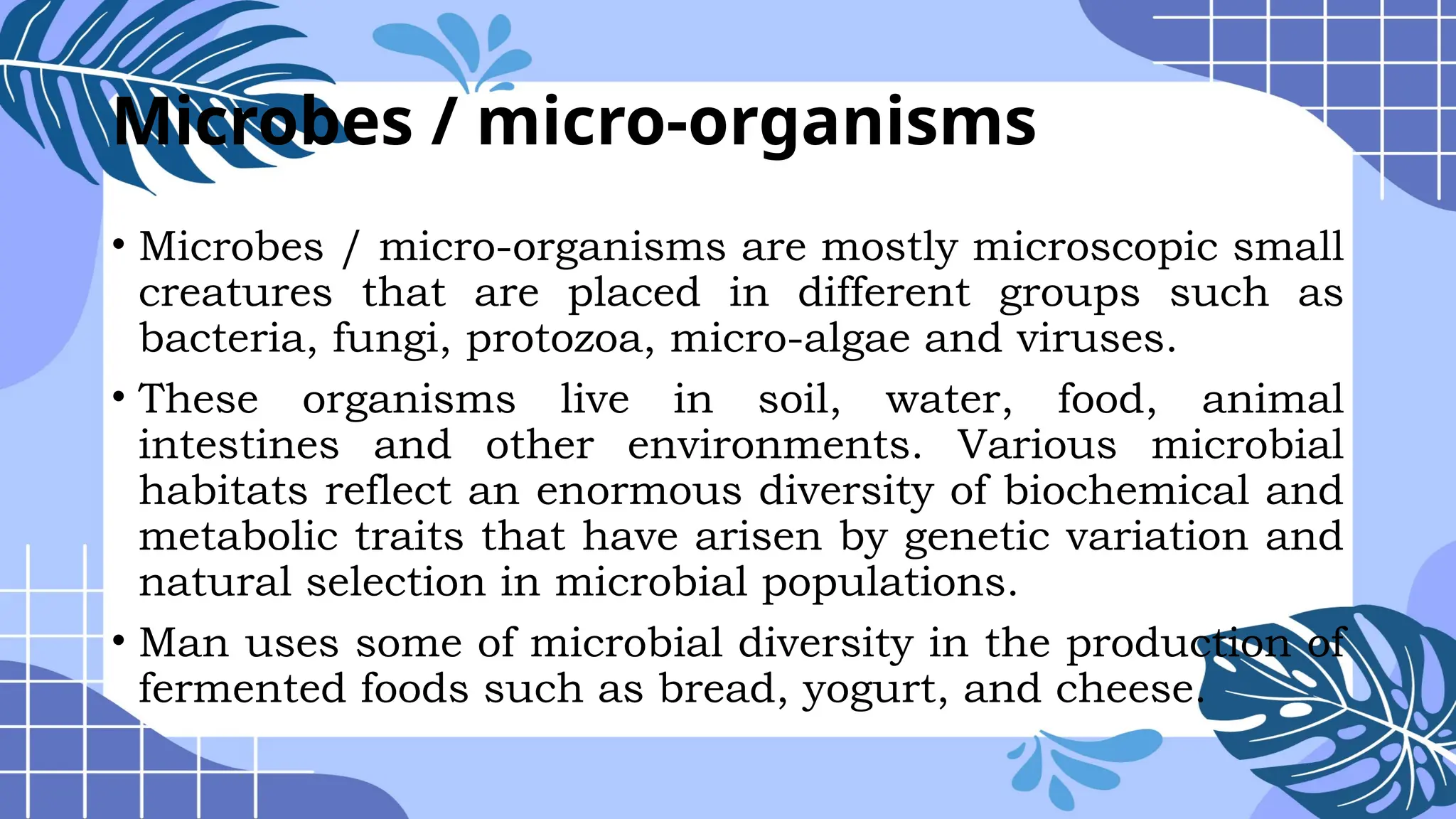 Commonly Used Microbes in Biotechnology.pptx