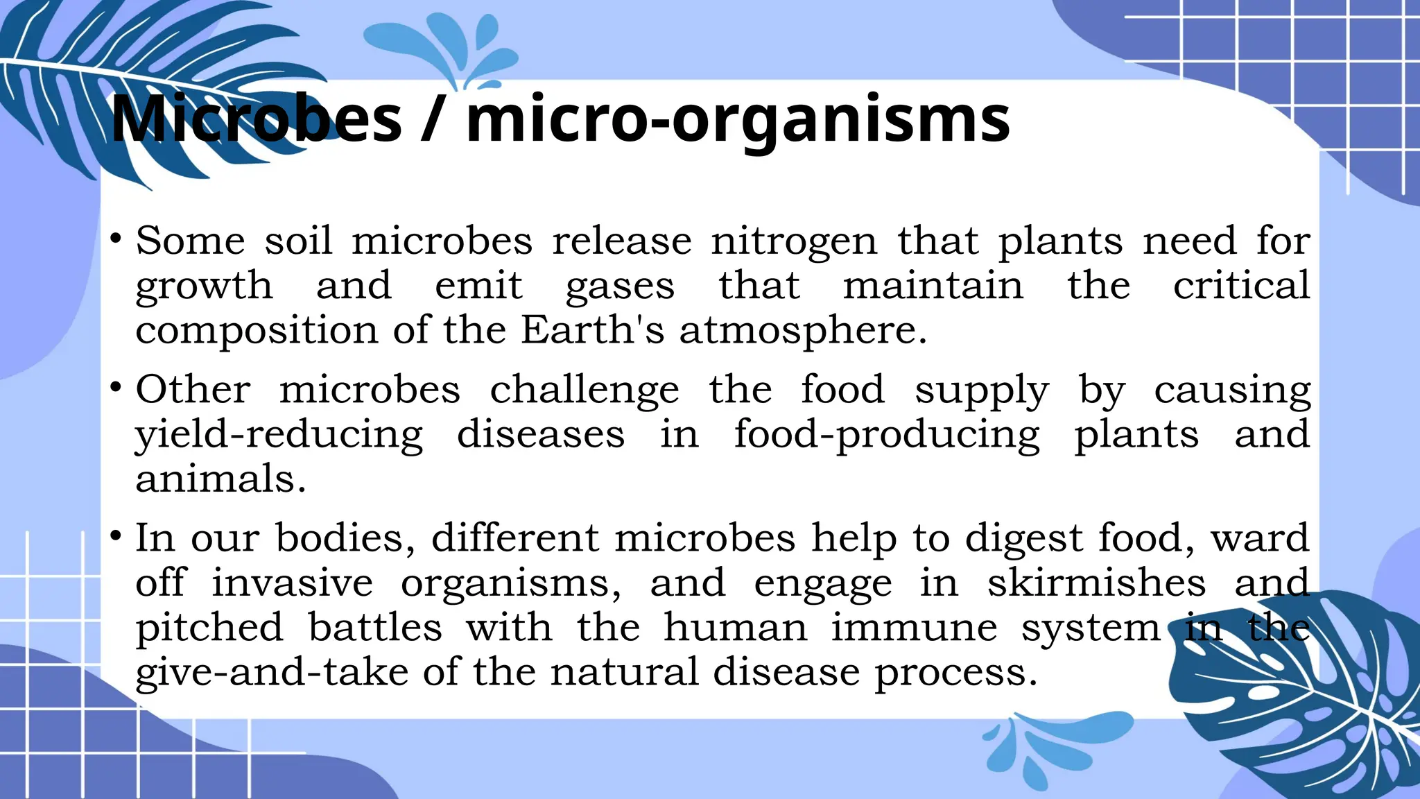 Commonly Used Microbes in Biotechnology.pptx