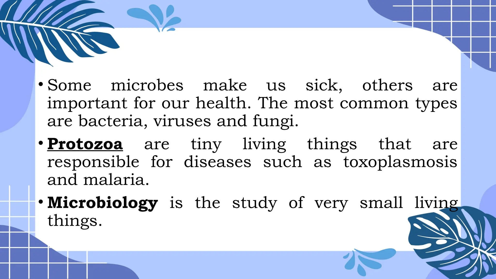 Commonly Used Microbes in Biotechnology.pptx