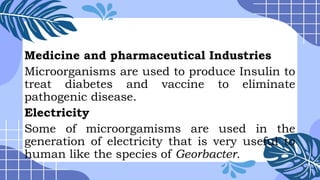 Commonly Used Microbes in Biotechnology.pptx