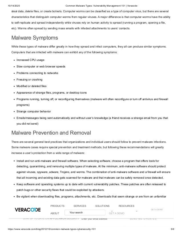 Common Malware Types Vulnerability Management | PDF