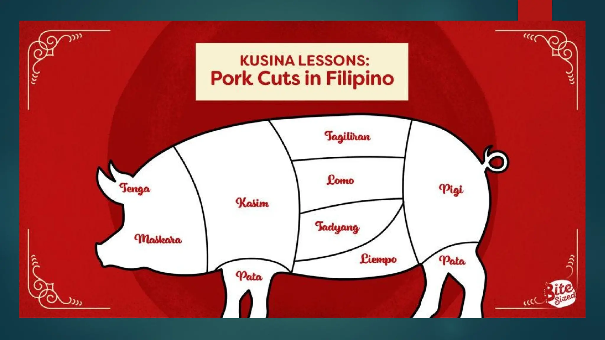 COMMON MEAT CUTS; the beef and the pork cuts.pptx