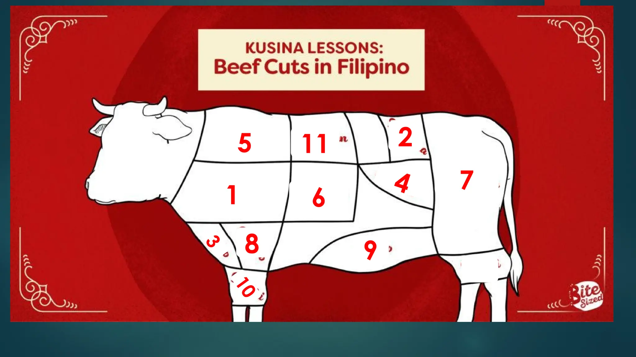 COMMON MEAT CUTS; the beef and the pork cuts.pptx