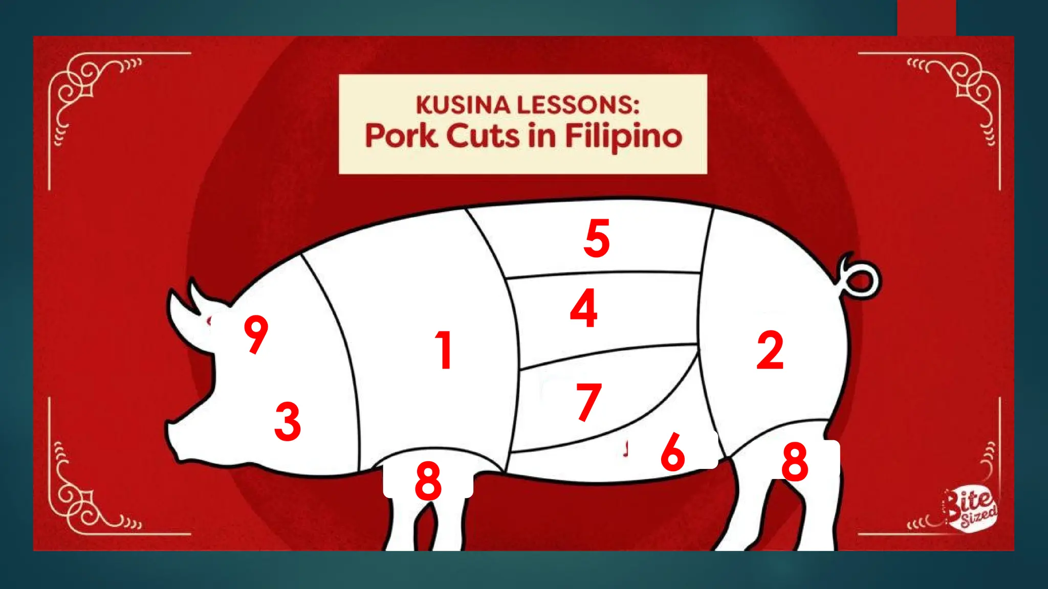 COMMON MEAT CUTS; the beef and the pork cuts.pptx