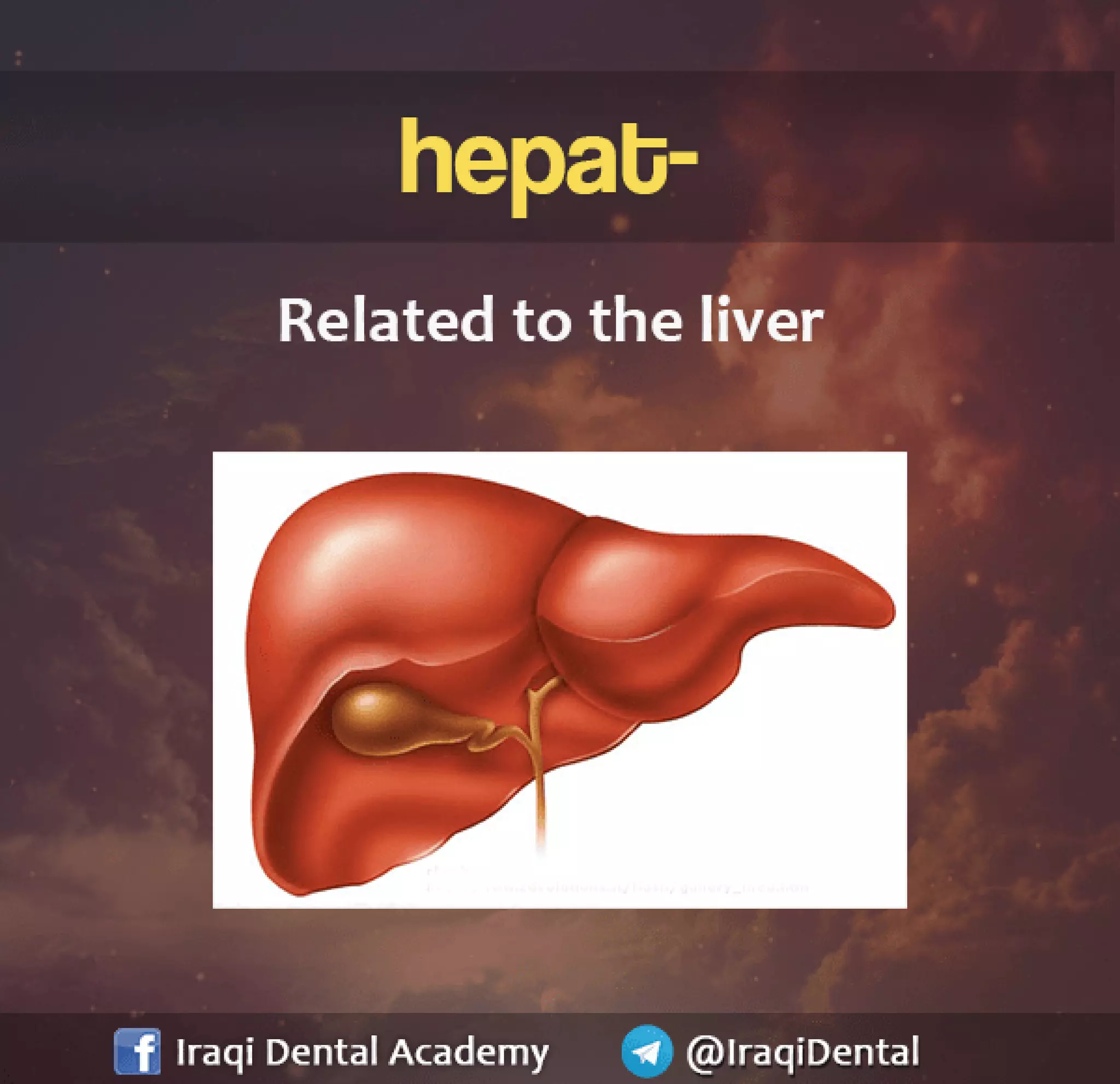 Common Medical and Dental Terminologies | PDF