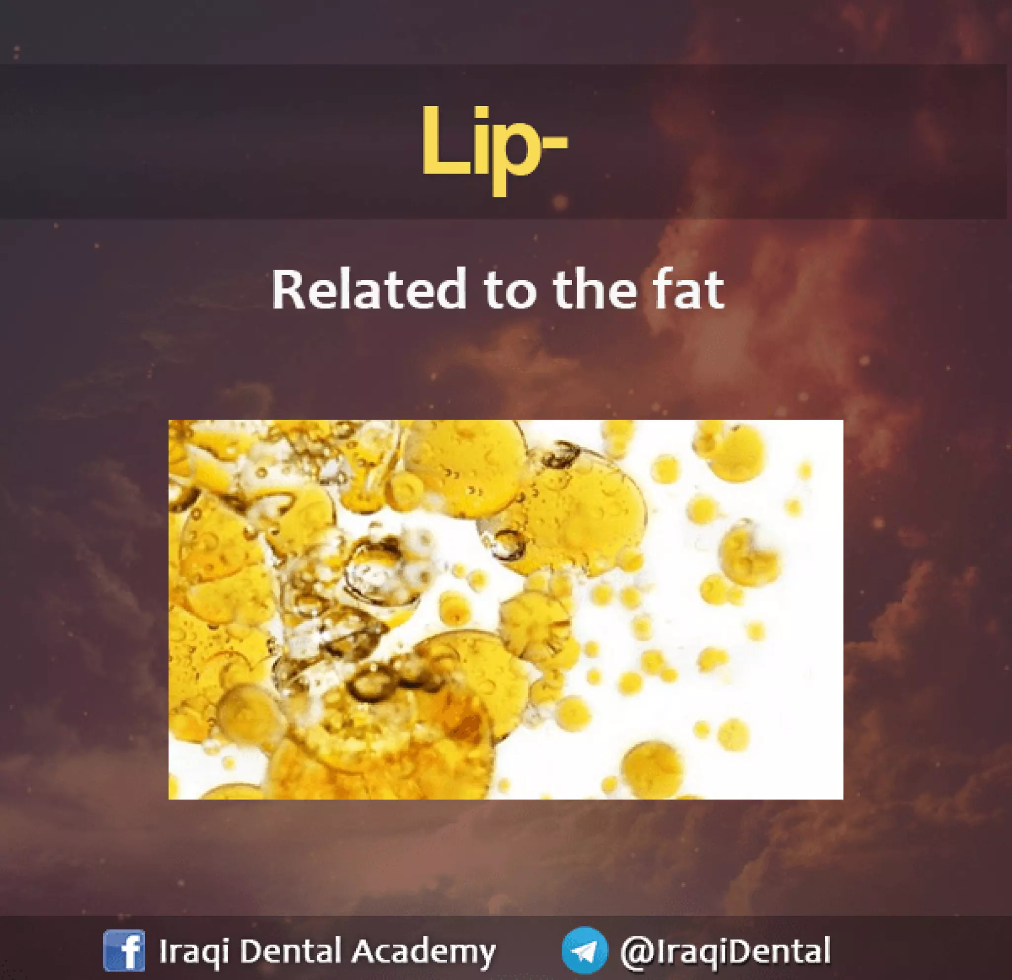 Common Medical and Dental Terminologies | PDF