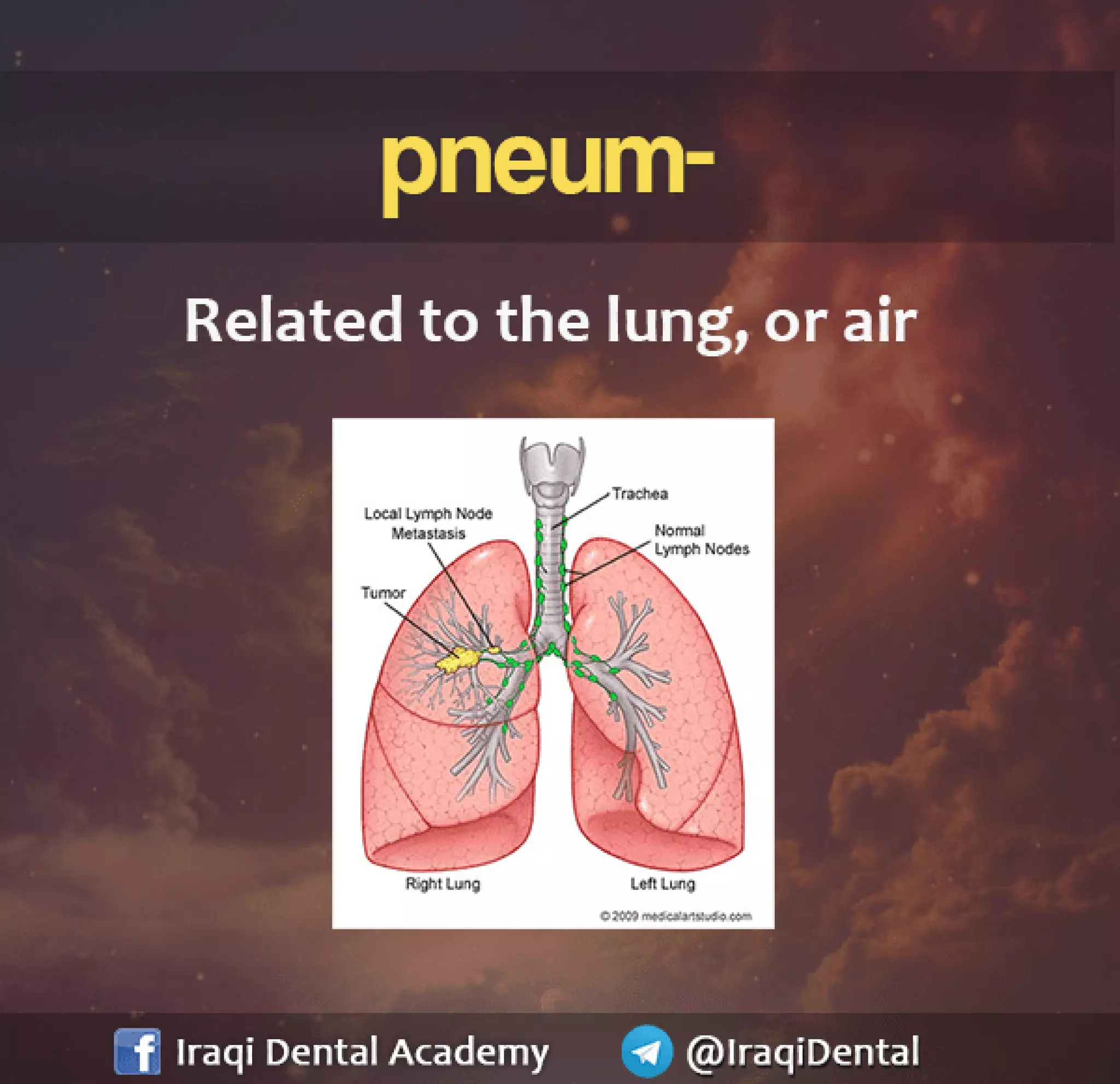 Common Medical and Dental Terminologies | PDF