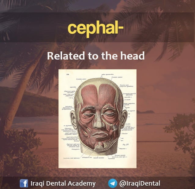 Common Medical and Dental Terminologies | PDF