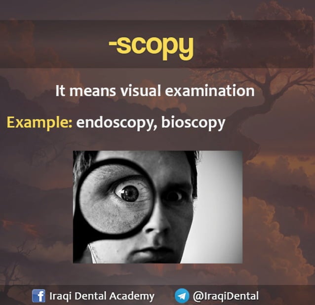 Common Medical and Dental Terminologies | PDF