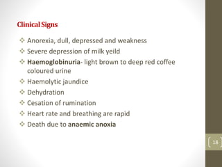 Common metabolic diseases of cattle | PPTX