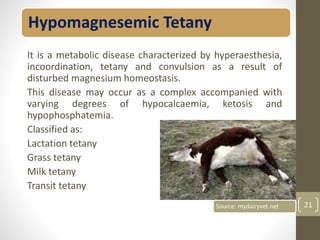 Common metabolic diseases of cattle | PPTX